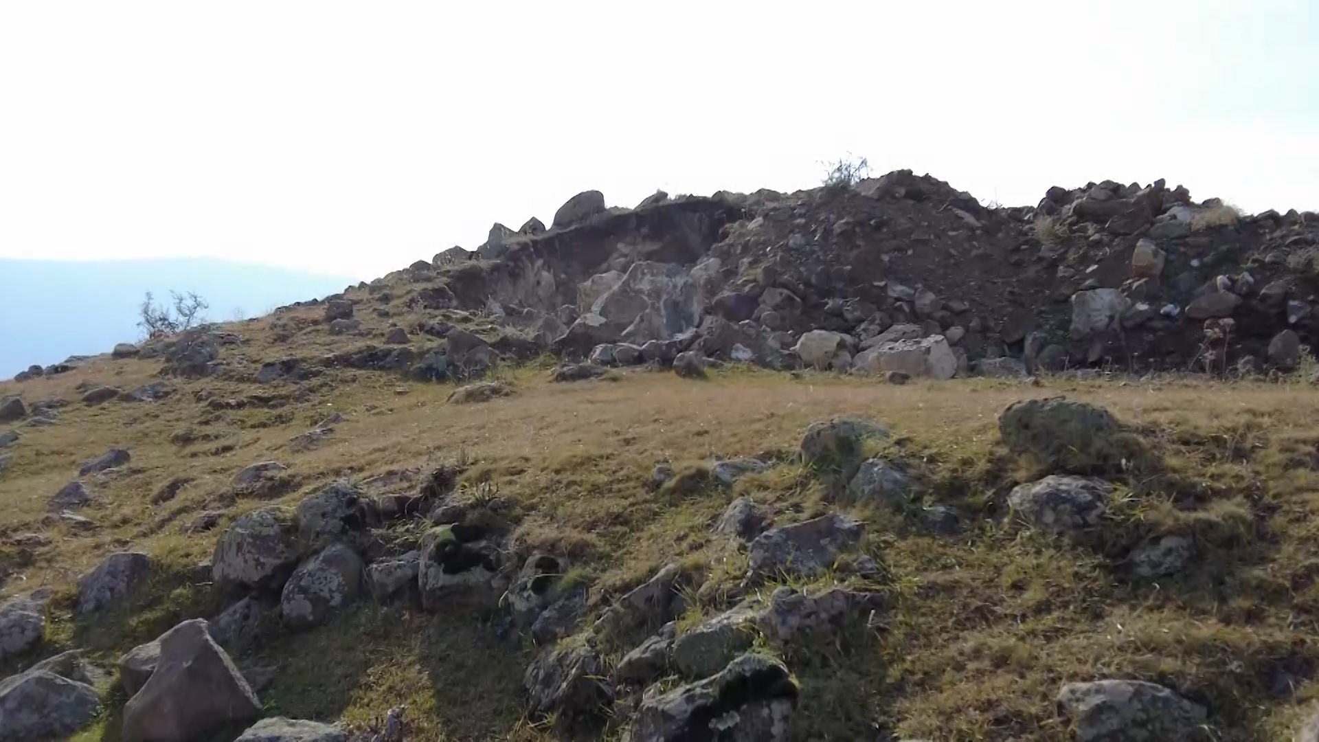 სათვალე - 312 - JRC